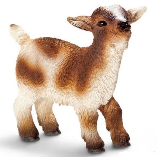 Buy Schleich - Dwarf Goat Kid 13716