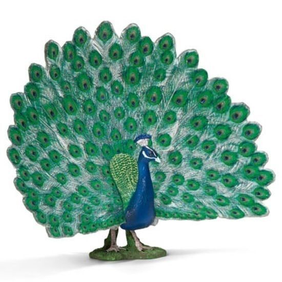 Buy Schleich Peacock 13728