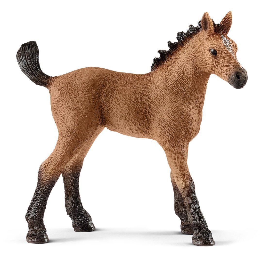 Buy Schleich - Quarter Horse Foal 13854