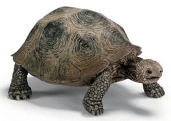 Buy Schleich - Giant Turtle 14601