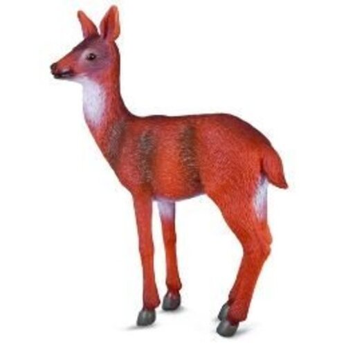 Buy Collecta - Red Deer Hind 88019