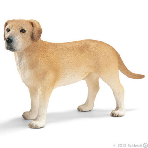 Buy Schleich - Labrador Male 16386